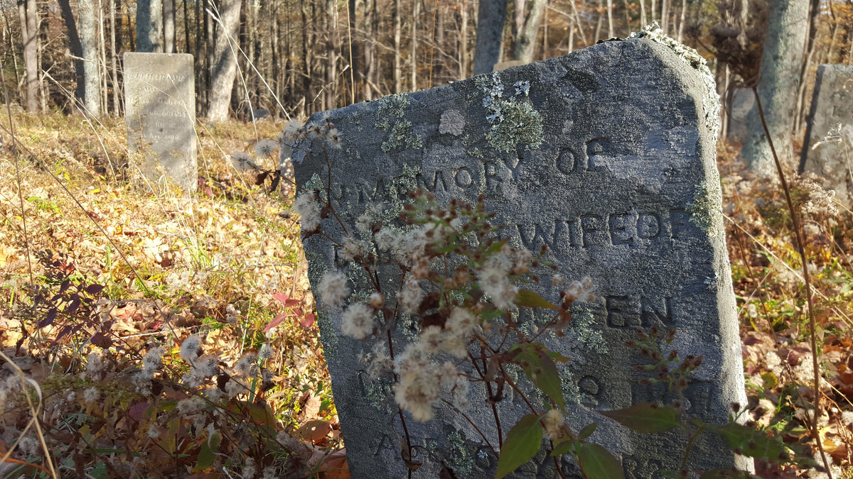 A Haunted Hippy Halloween--Quite the Extraordinary Adventure ...