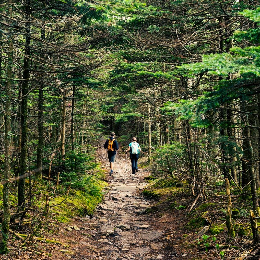 Destination Backcountry Gift Card – Destination Backcountry Adventures